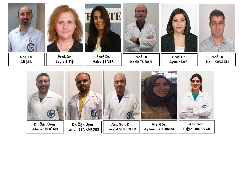 Marmara Üniversitesi